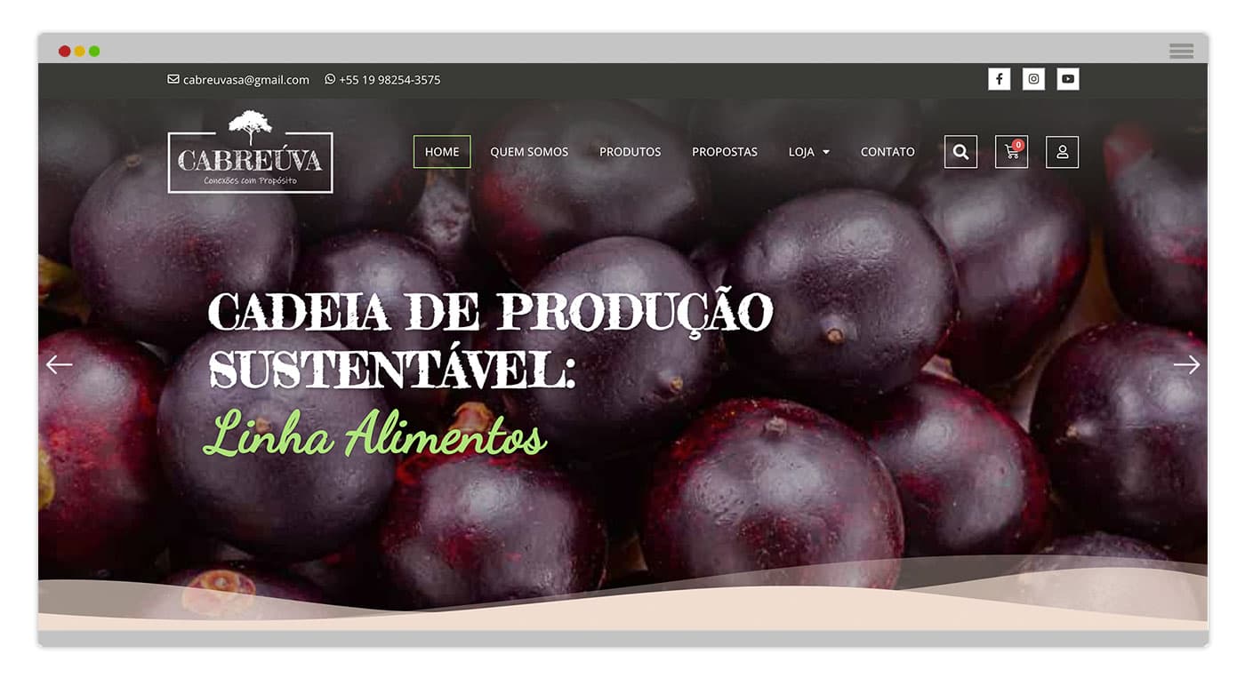 PORTFÓLIO » Alex Sanches